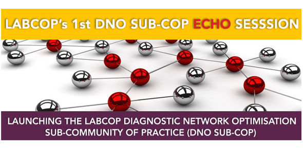 Labcop's 1st DNO Sub-CoP session - FIND