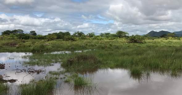 Development of diagnostics that contribute to infectious disease control in developing countries ...